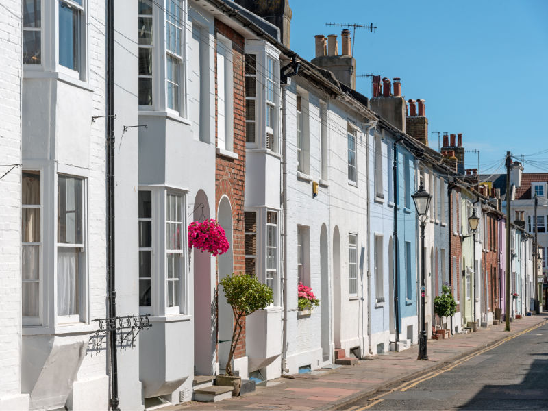 West Sussex Pest Control | Brighton Pest Control